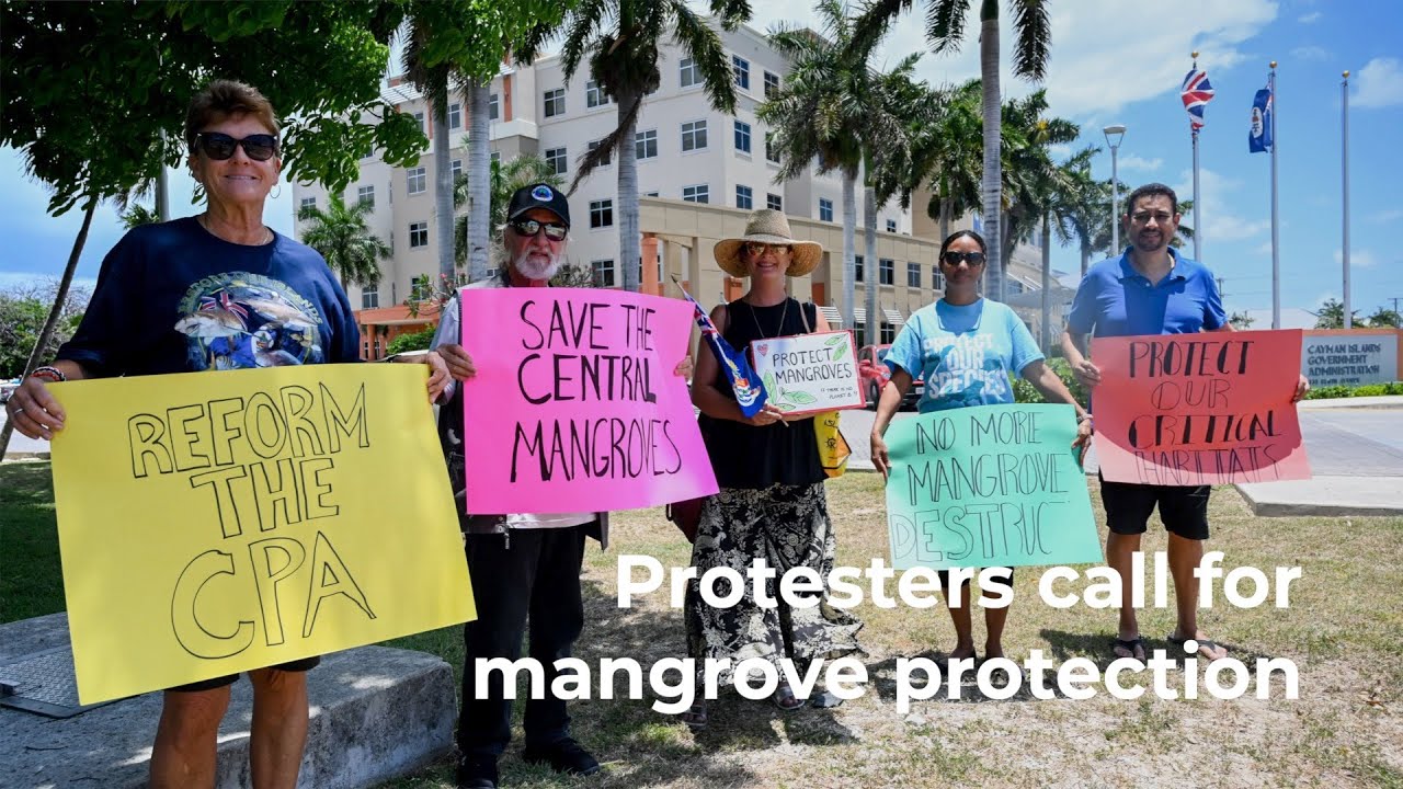 Protect our mangroves peaceful protest - YouTube