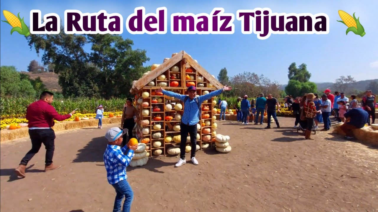 RUTA DEL MAÍZ en Tijuana | Rancho de las calabazas Tijuana - YouTube