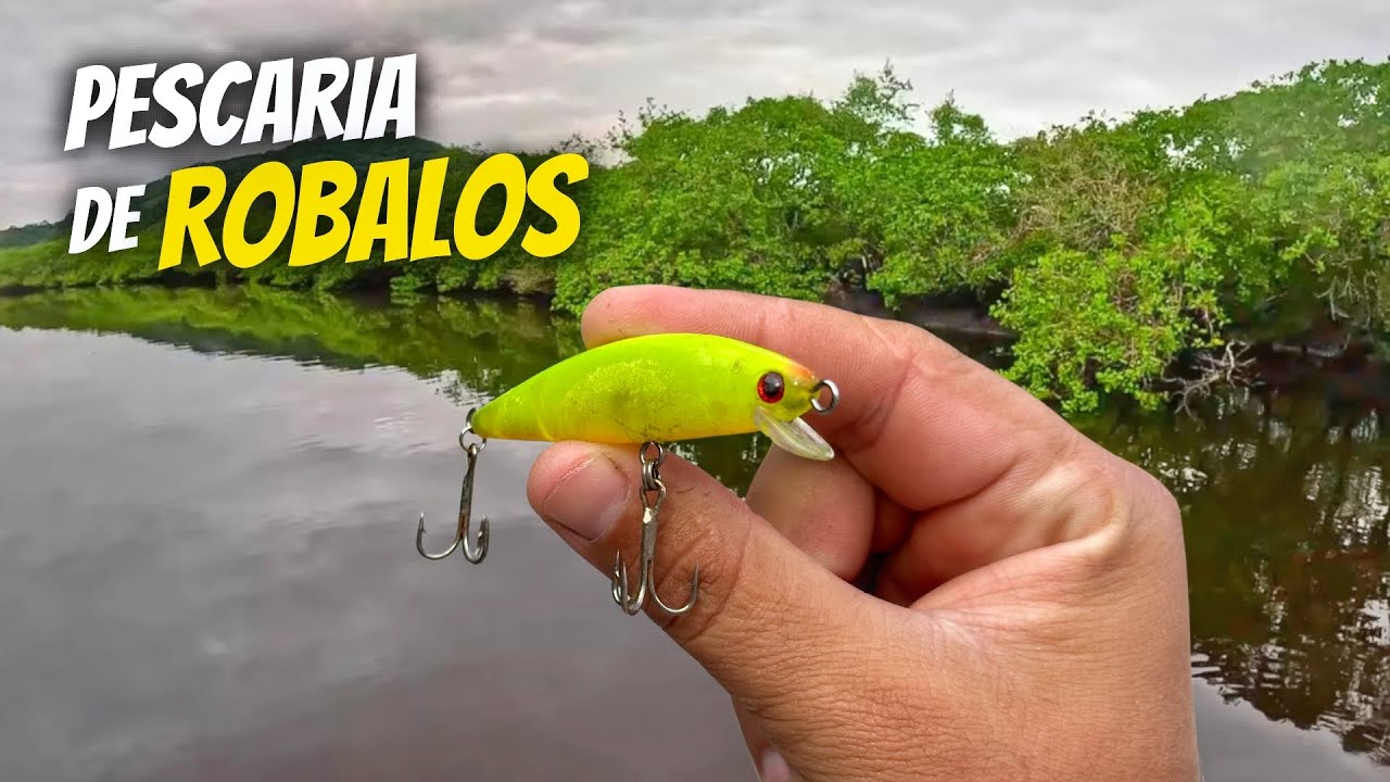 Pesca de Robalos dentro da Baia | Ótima opção para QUEM NÃO TEM BARCO ...