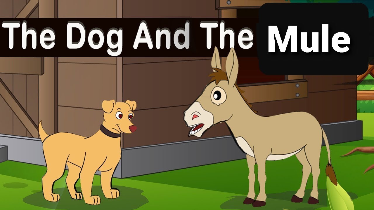 The Dog and The Mule English Stories Bed time stories New Version 2020 ...