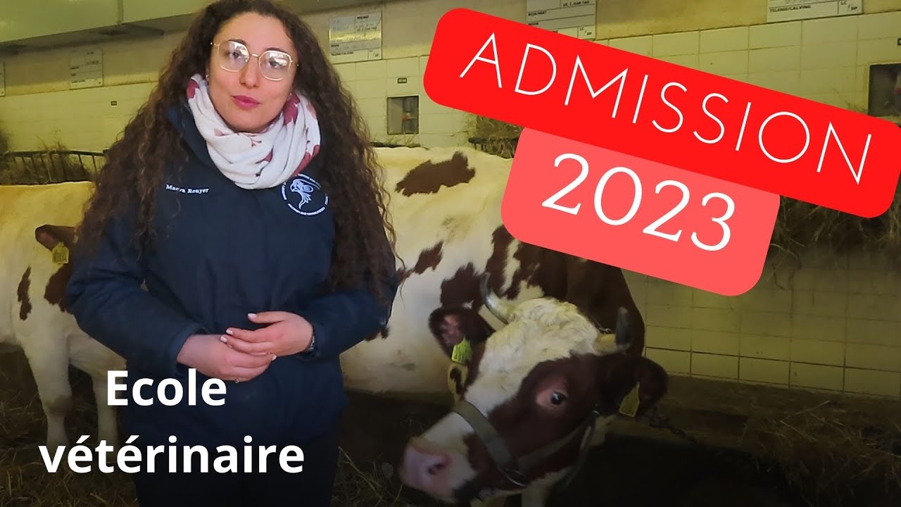 Admission 2023 école vétérinaire - YouTube