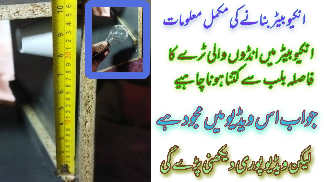 how to use bulbs in incubator|| bulbs size to eggs tray|| بلب ٹرے سے ...