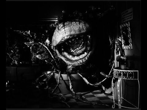 Aires Jackson - Feed Me - YouTube