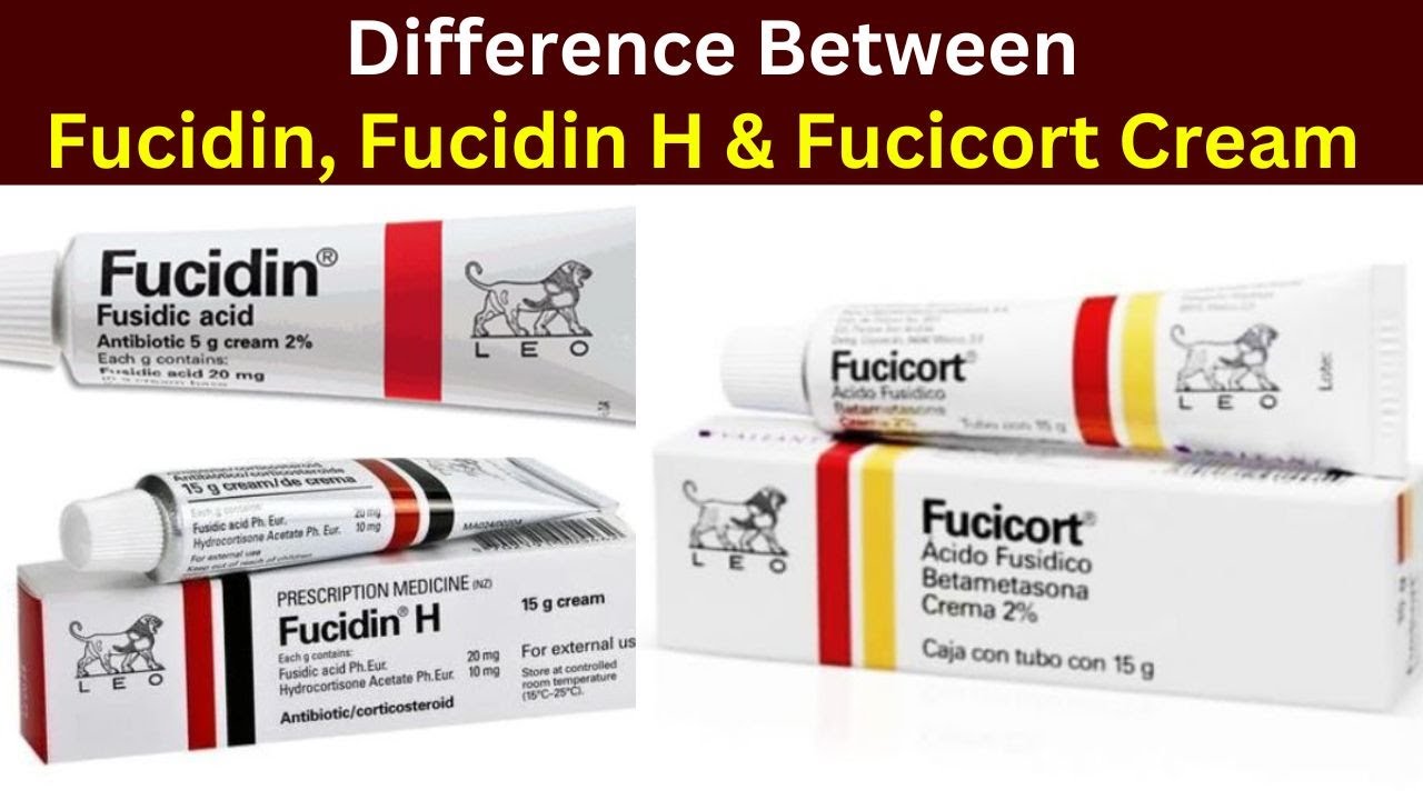 Difference between fucidin fucidin h fucicort cream | Review | Dose ...