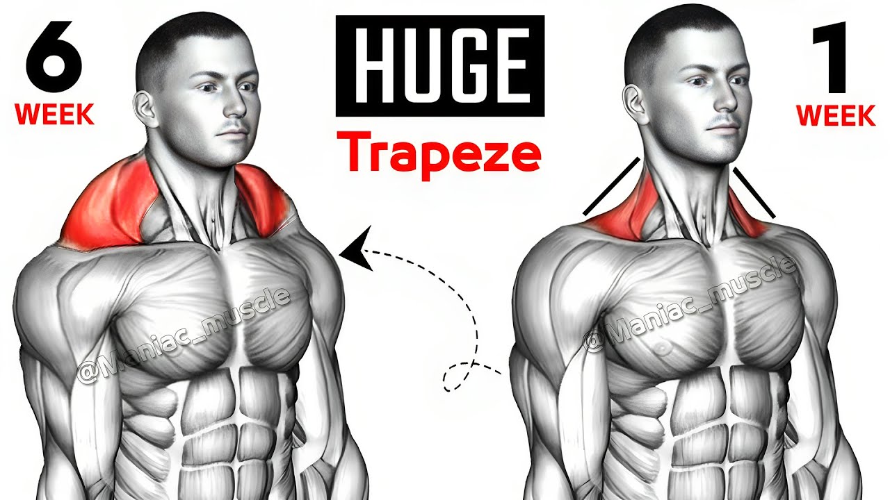 17 BEST EXERCISE TRAPS WORKOUT 🔥 - YouTube