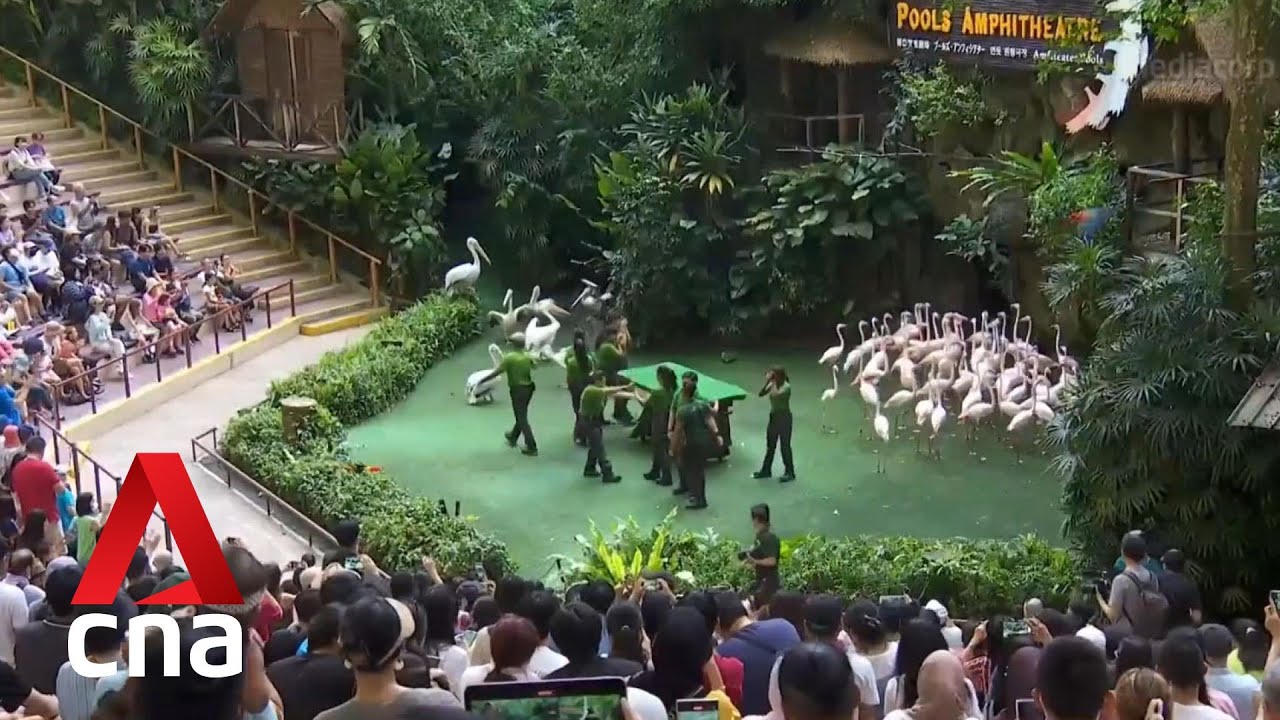 Visitors bid farewell to Jurong Bird Park on final day before it moves ...