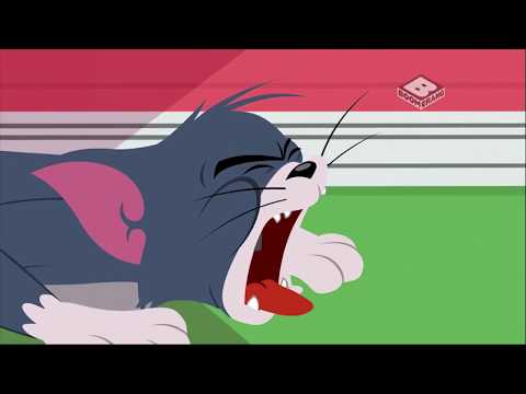 Tom and Jerry: Top Cat, Tuffy Love - Tom and Jerry Cartoon
