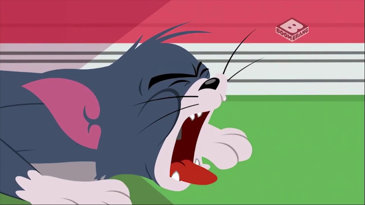 Tom and Jerry: Top Cat, Tuffy Love - Tom and Jerry Cartoon - YouTube