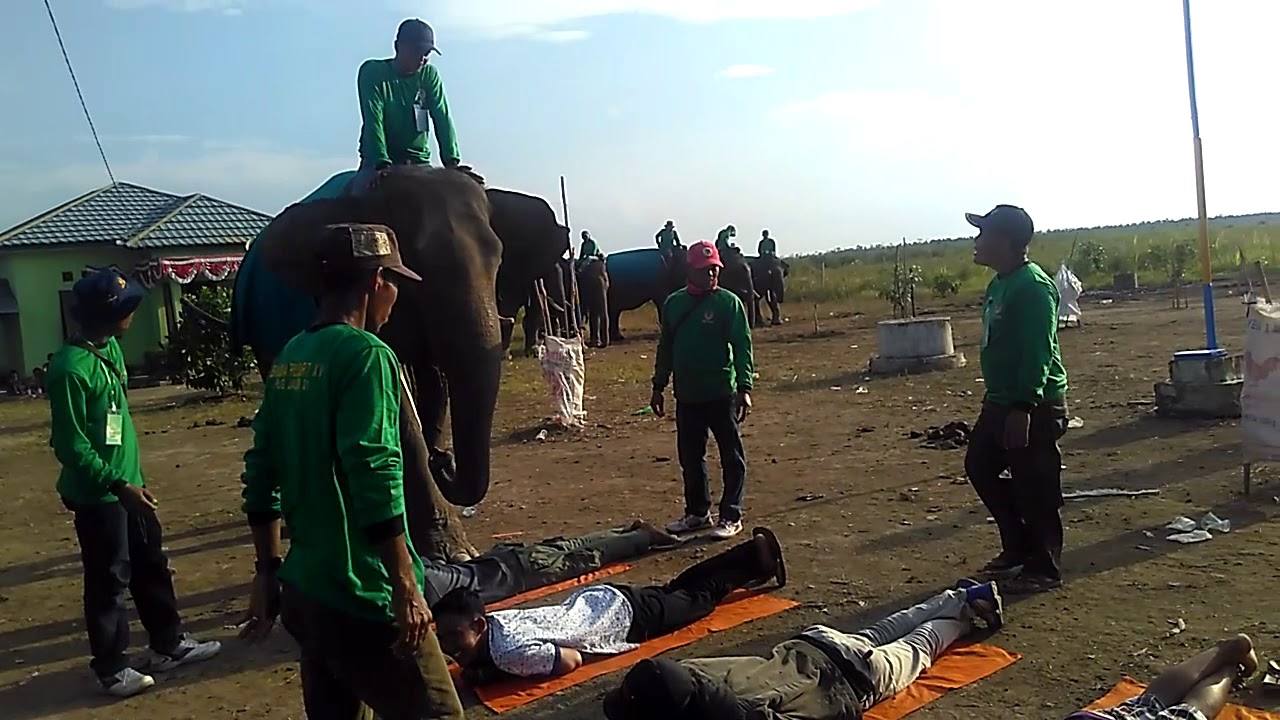 Liburan katrox di jalur 31 - YouTube