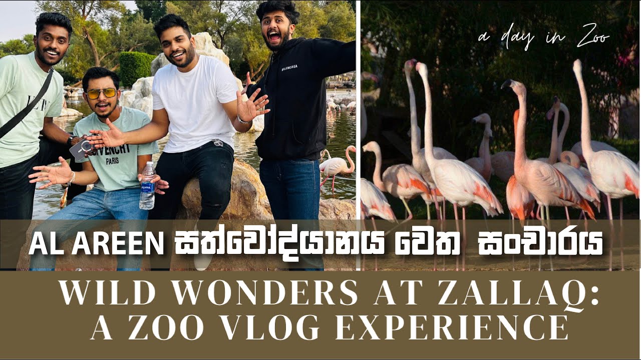 AL AREEN ZOO - ZALLAQ | explore Bahrain | visit Bahrain - YouTube