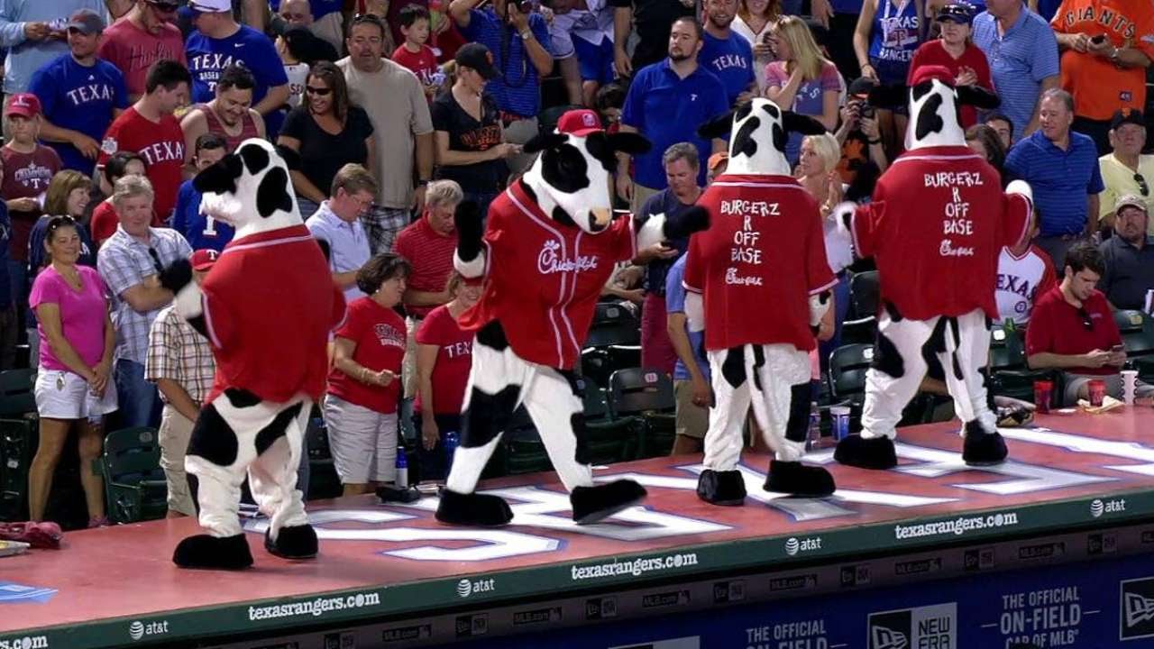 SF@TEX: Cows dance on the dugout at the Rangers game - YouTube