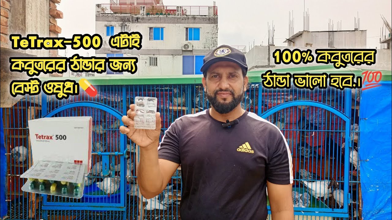 TeTrax-500 ই কবুতরের ঠান্ডার খুব ভালো ওষুধ।💊🕊️💯 - YouTube