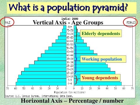 Population Pyramids (AP Human Geography) - YouTube
