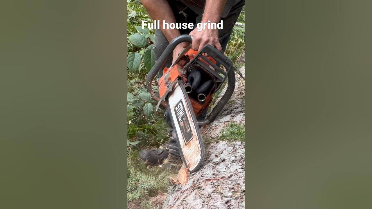 shorts How To Check Yer Rakers In The Buck chainsaw firewood axe logger logging bekind shorts-how-to-check-yer-rakers-in-the-buck-chainsaw-firewood-axe-logger-logging-bekind