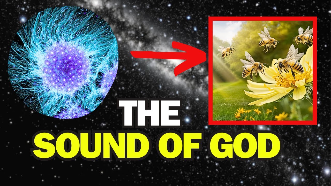 The Sound That Transforms Every Cell in Your Body | The Sound of God ...