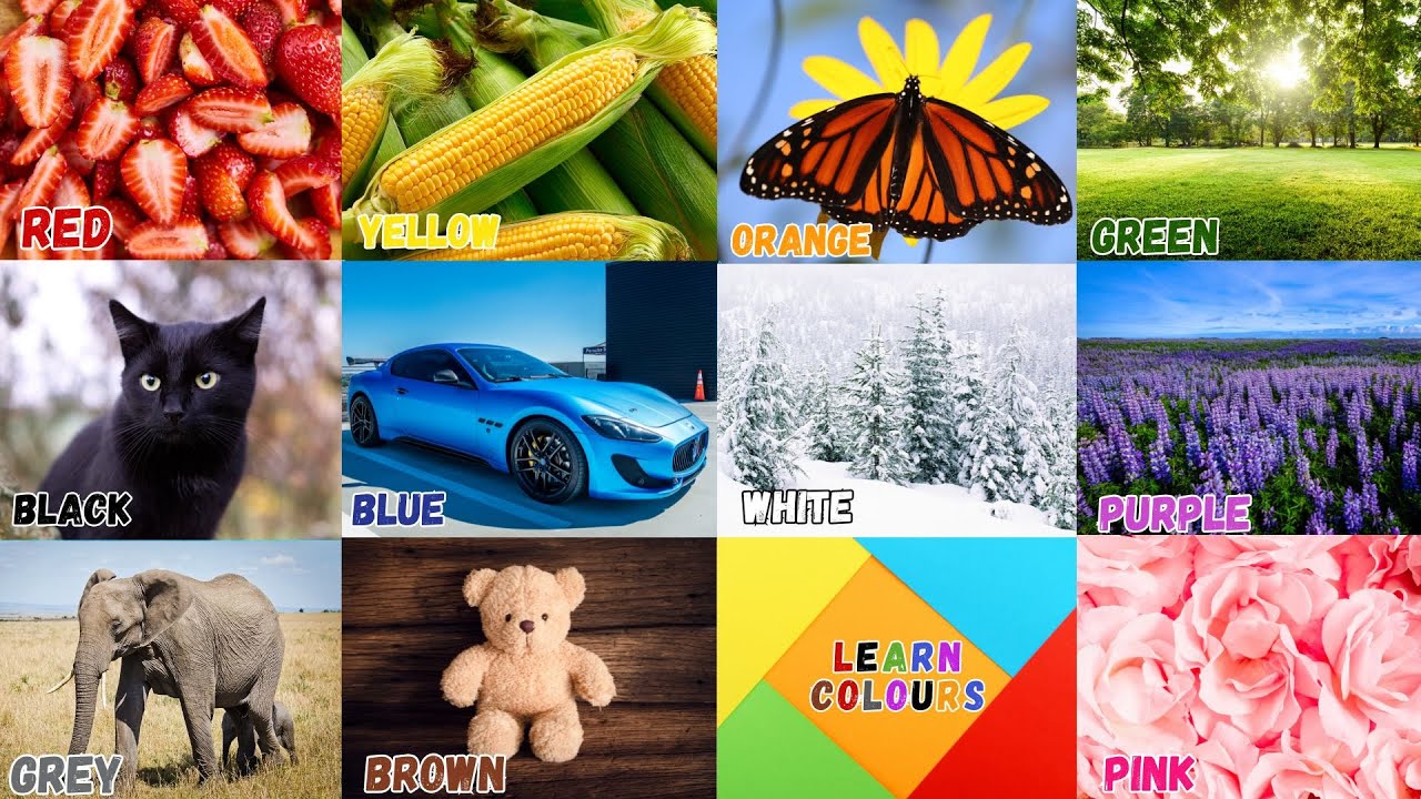 We Love all the Colors! | Color Song for Preschoolers| Red Red ...