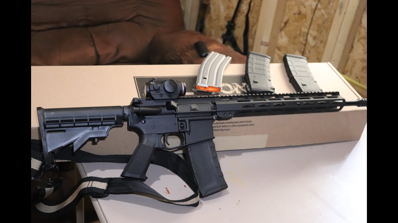 DEL TON ECHO 316 L AR 15 review & SHOOT - YouTube