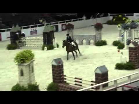 Video of CHADOR ridden by JESSICA MATELIS from ShowNet! - YouTube