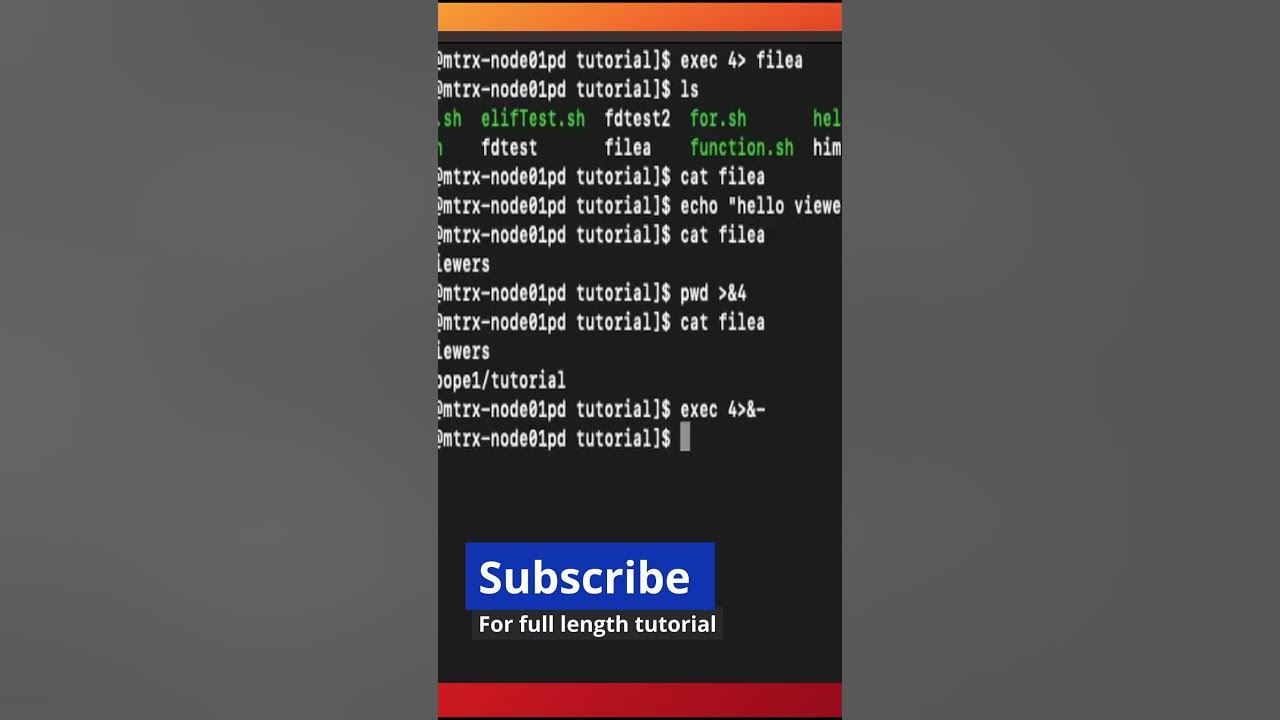 How To Close A File File Descriptor In Linux Shorts Computerprogramming Shellscripting Linux 