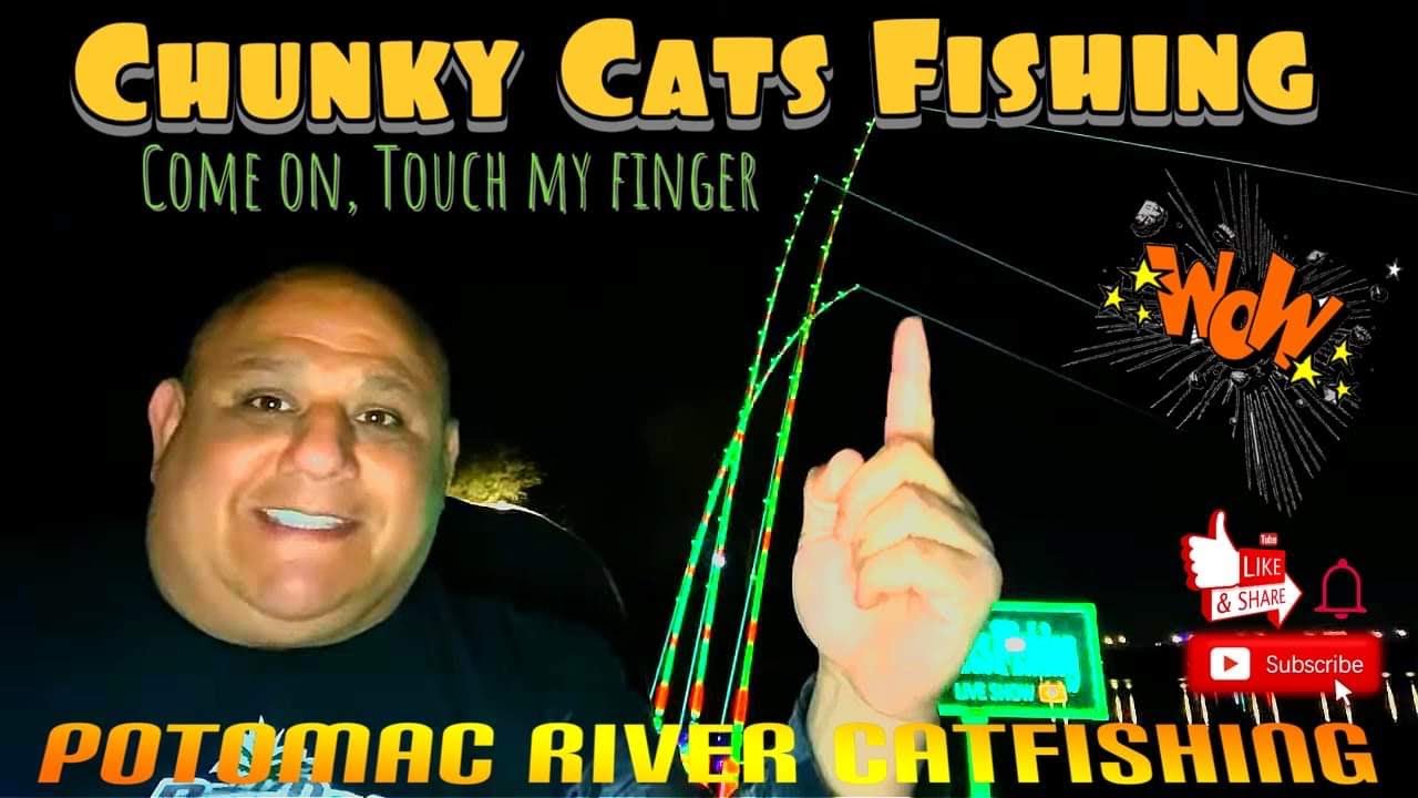 🔴 Chunky Cats Fishing Free Fishing Lessons for Palmetto Cats 31:30 ...