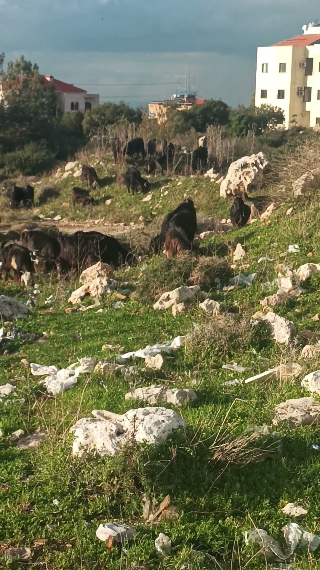 ٢٩ كانون الثاني ٢٠٢٤ - YouTube