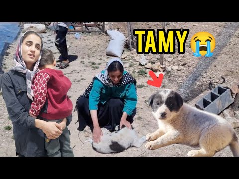 The Painful Goodbye Moment; Will the Family Accept His Leaving? 😭💔