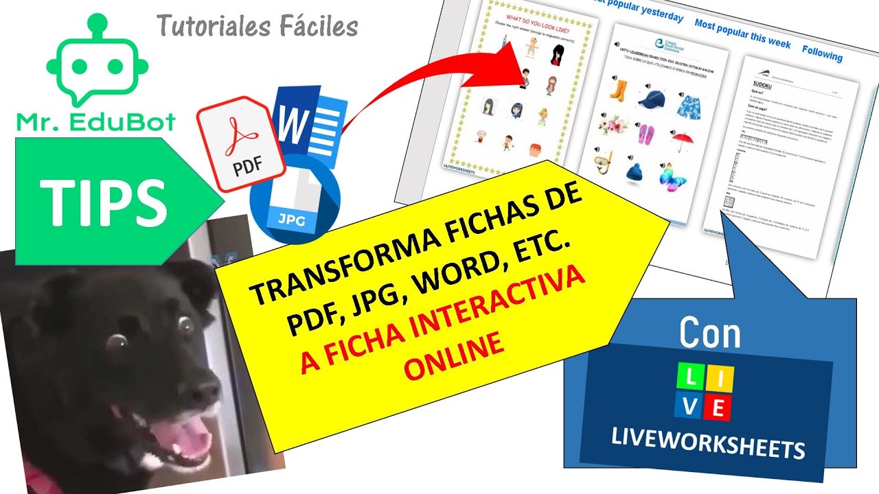 CREA TUS FICHAS INTERACTIVAS CON LIVEWORKSHEETS🔥🔥 - YouTube