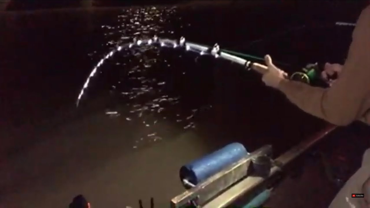 100-pound GIANT Down in donkey Town--- Shawns first fish is HUGE and ...
