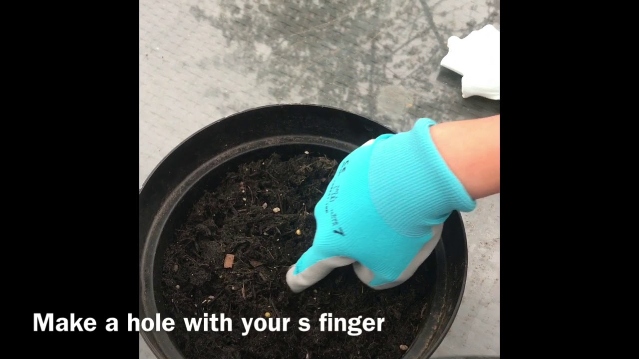 How true any cutting 2 method - YouTube