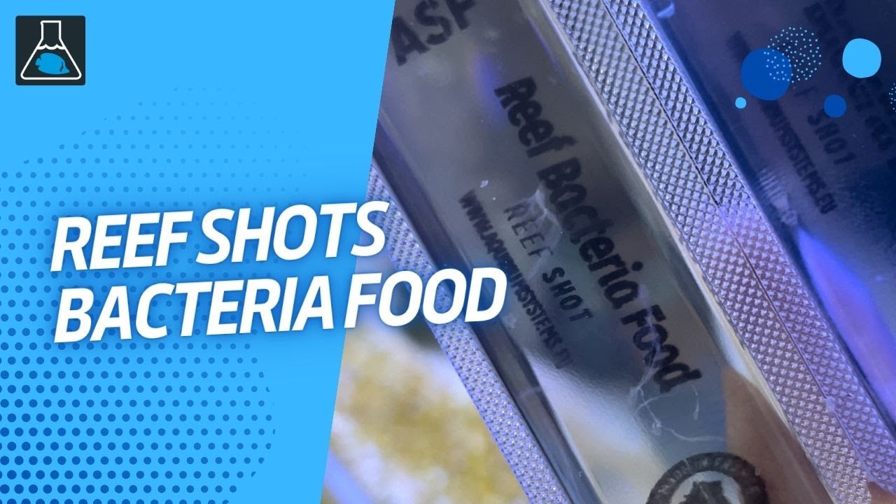 Reef Shots Bacteria Food - YouTube