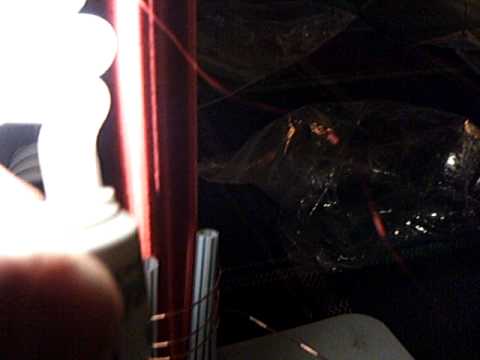 Mini Tesla Slayer Exciter.ASF - YouTube