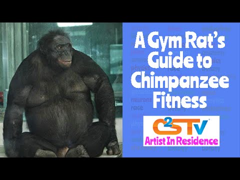 A Gym Rat's Guide to Chimpanzee Fitness - YouTube
