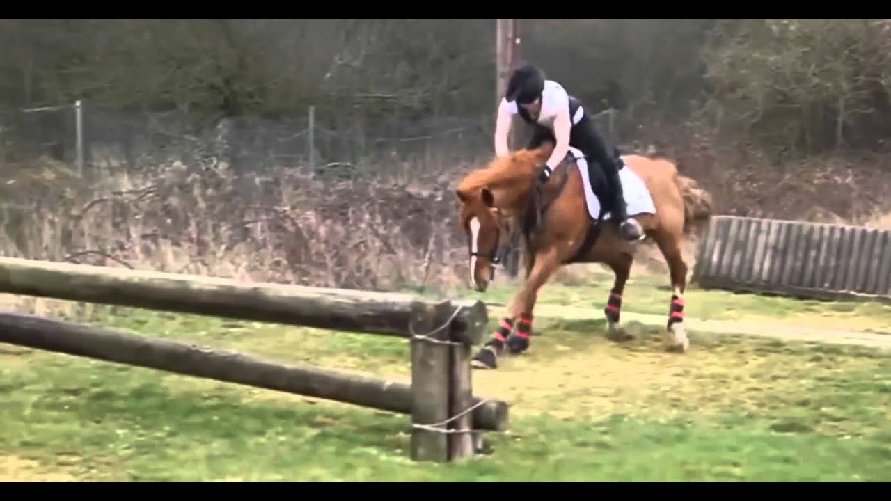 And people say riding is easy - Horse falls and fails 2 - YouTube