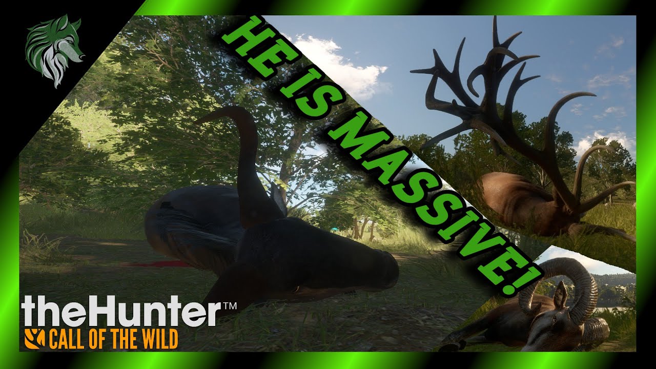 MONSTER DIAMOND RED DEER AND WILDEBEEST! Stream Highlights #13 ...