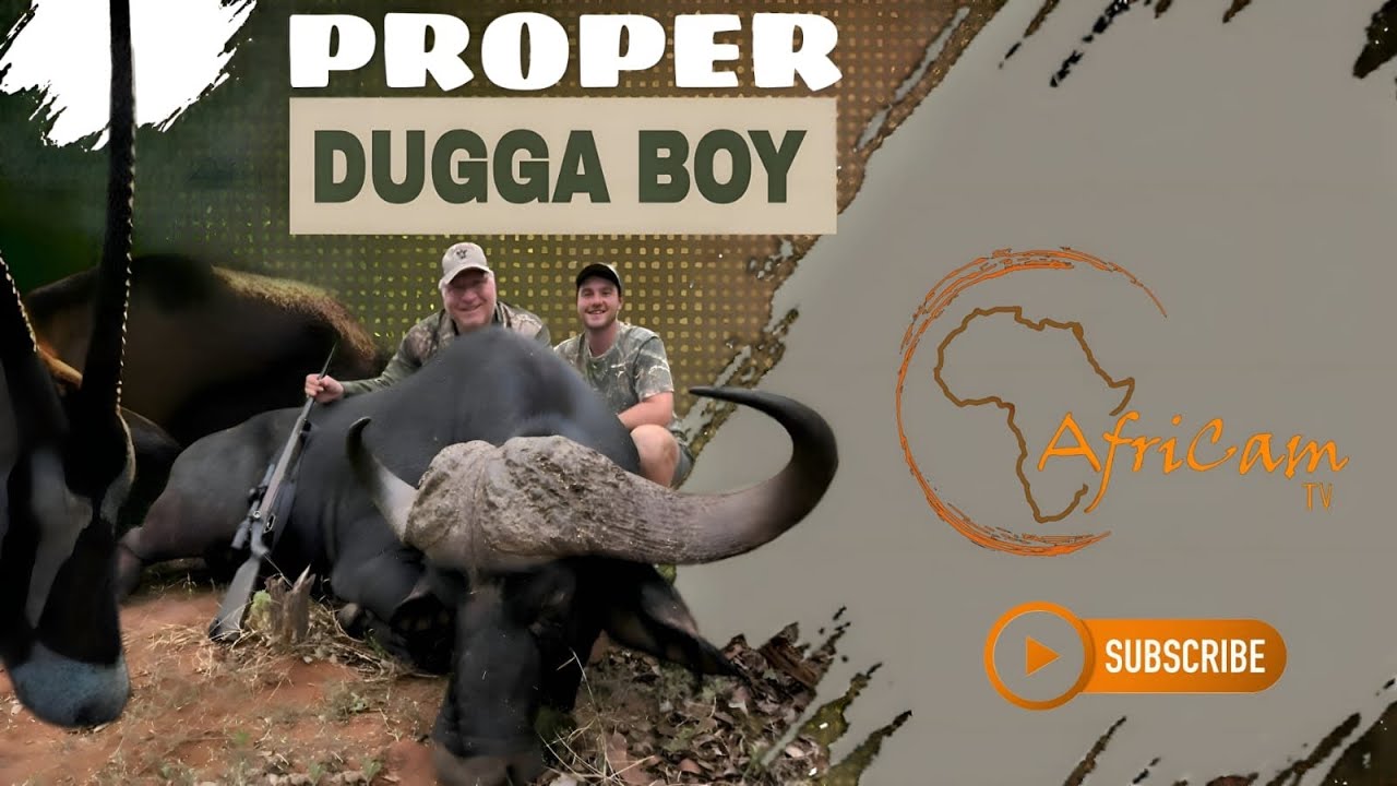AfriCam - This is proper Buffalo and plains game hunting! - YouTube