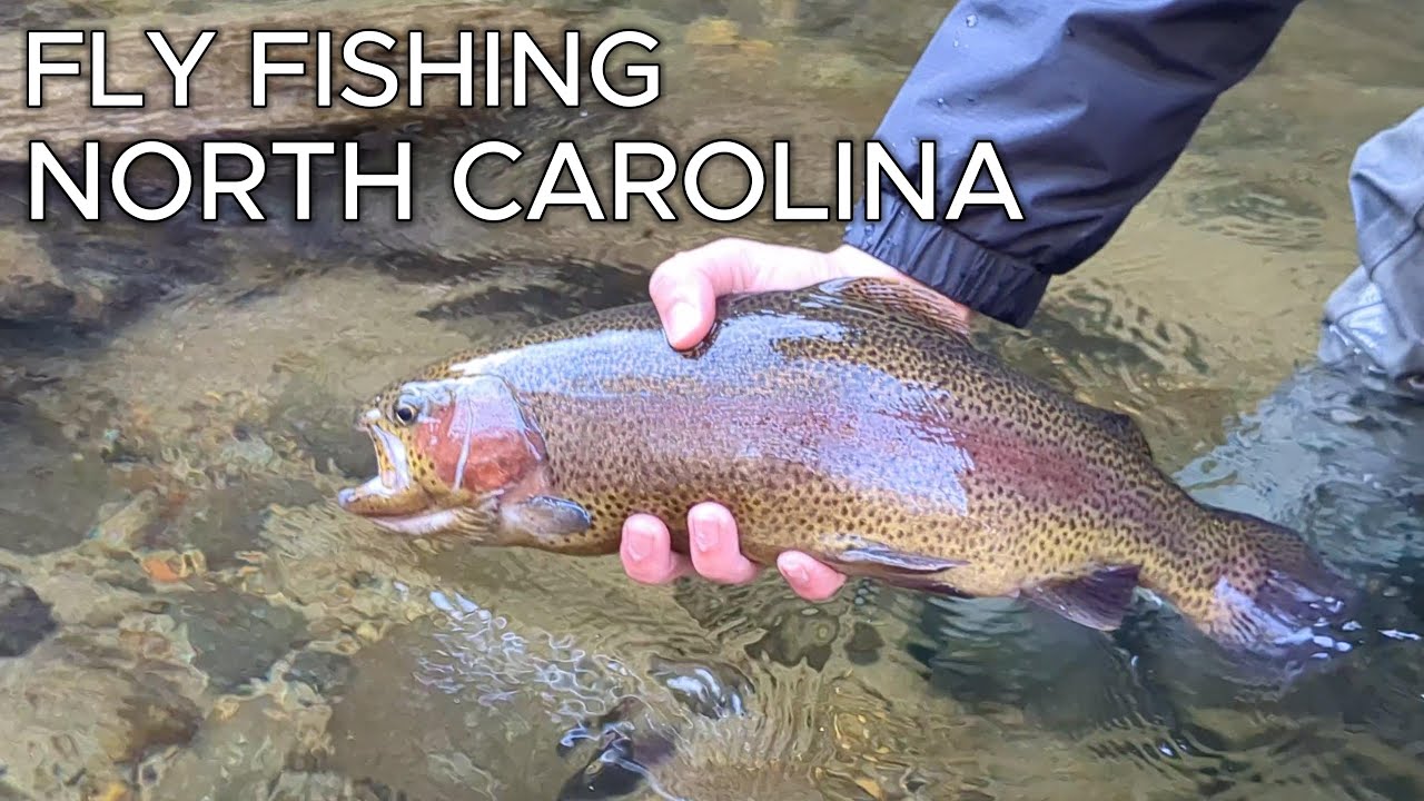 Catching Big Trout on the Nantahala River || Fly Fishing Western North ...