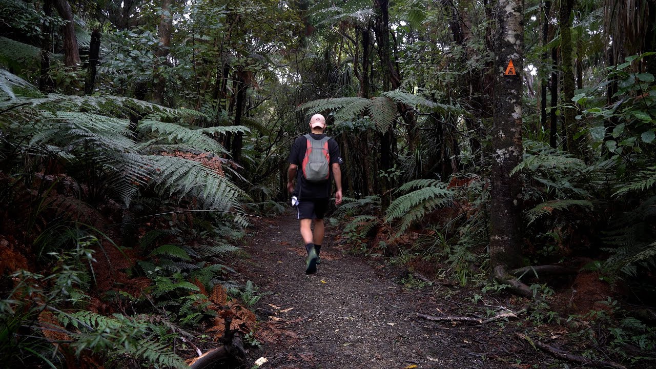 Hiking Alone in the Waitakere Ranges - YouTube