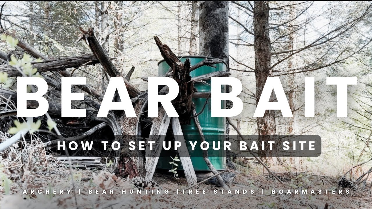 How To Set Up Bear Hunting Bait (Full Process) with @Boarmasters - YouTube