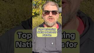 Top 10 Native Plants for Full Sun! ☀️ #gardeningtips #gardendesign #nativeplants