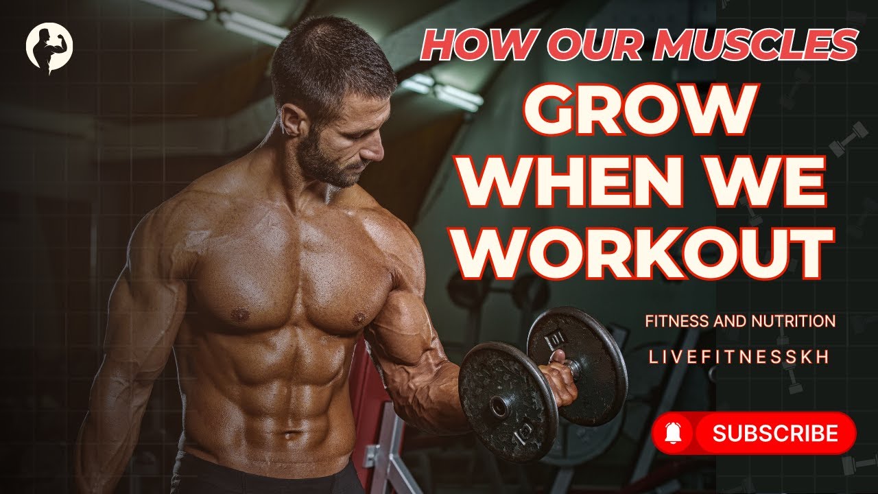 How our muscles grow when we workout regularly - YouTube