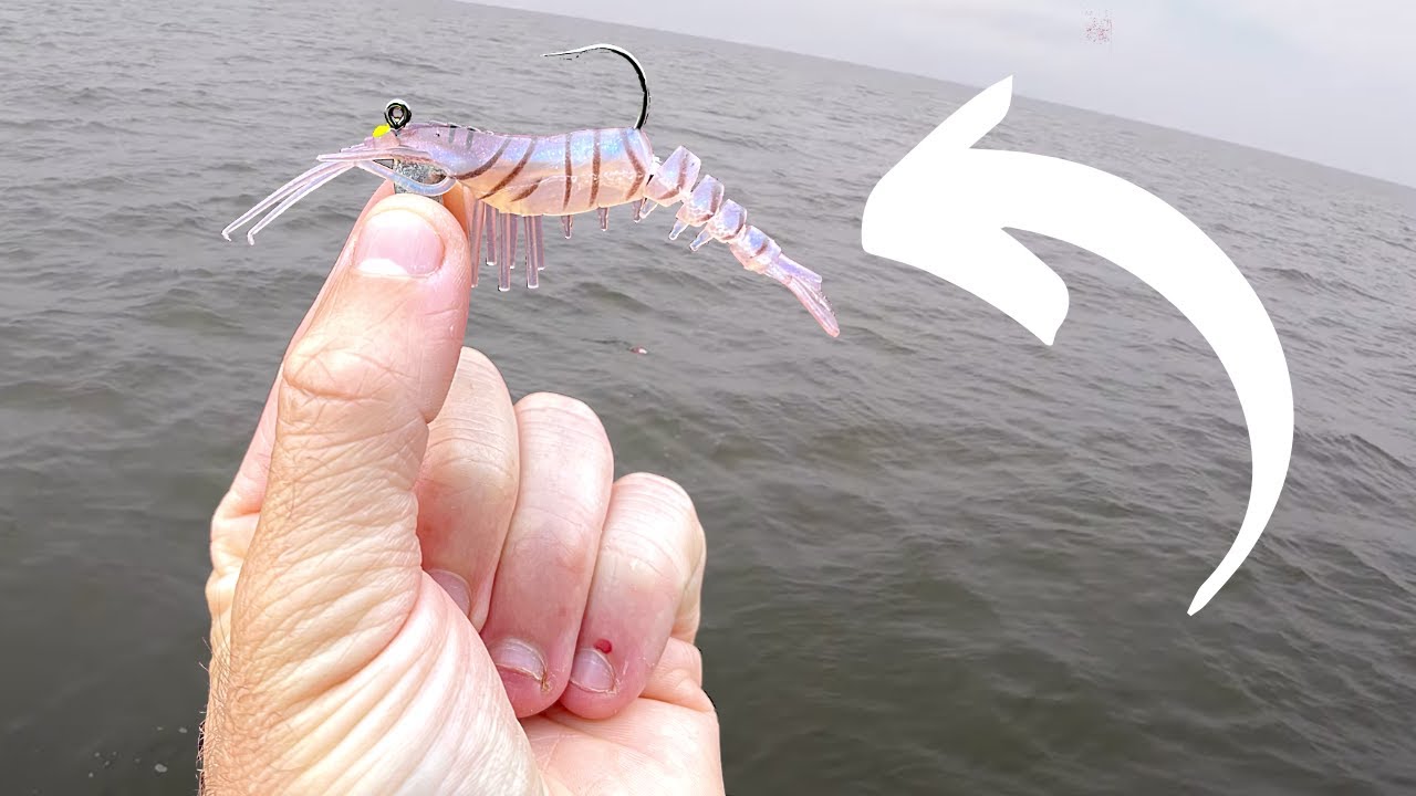 THIS Artificial Shrimp Gets Them Every Time. - YouTube