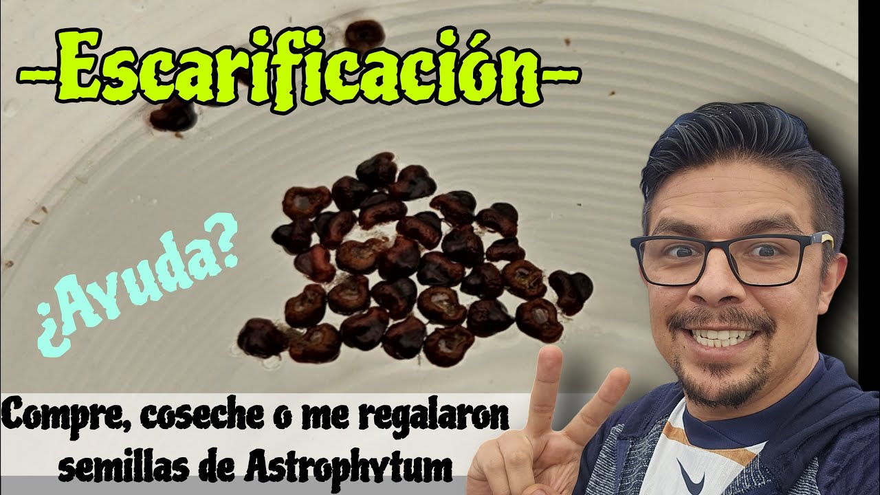 ESCARIFICACIÓN DE SEMILLAS - YouTube