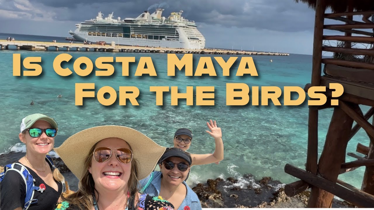 Costa Maya Mexican Salsa Experience and Beach Break..plus a tour of the ...