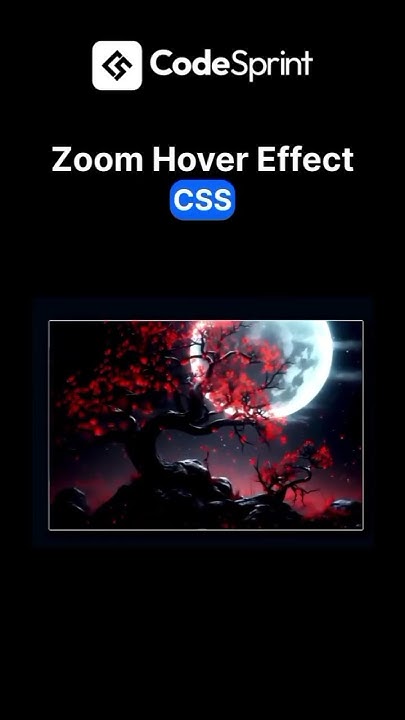 CSS Zoom Hover Effect Tutorial: Make Your Website Stand Out!🎥 🎨🚀 - YouTube