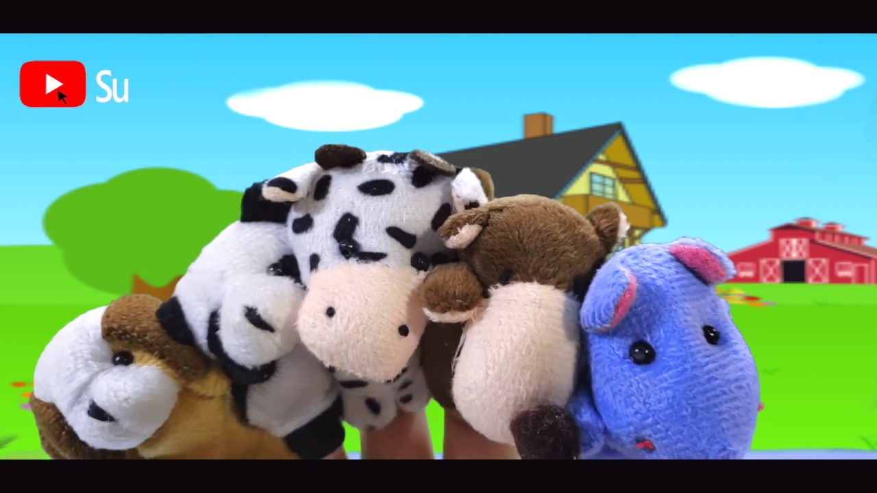 Finger family and animals songs PLUS the story of The Turtle and the ...