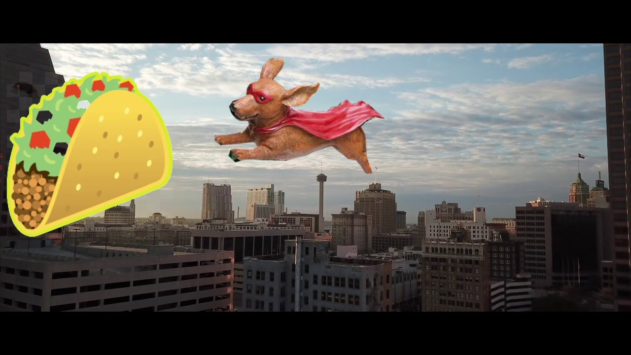 2018 - EDM Flying Weiner Dog - YouTube