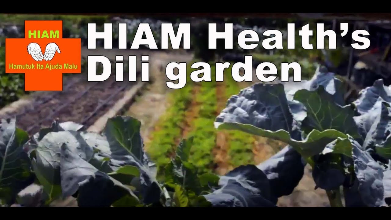 HIAM Health's Dili garden in 2015 - YouTube