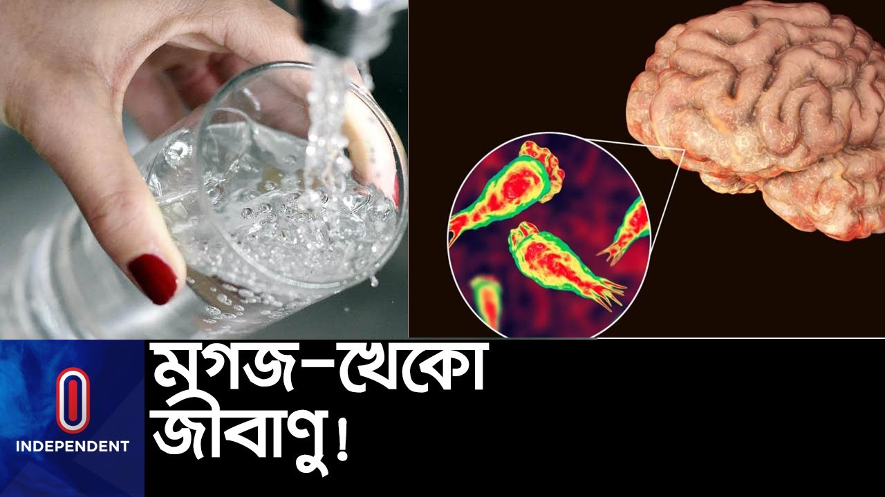 কলের পানি খেতে পারবেন না শহরটির ২৭ হাজার বাসিন্দা || Brain Eating ...