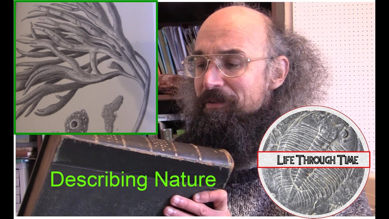 Describing Nature: the dying art of taxonomic monographs - YouTube