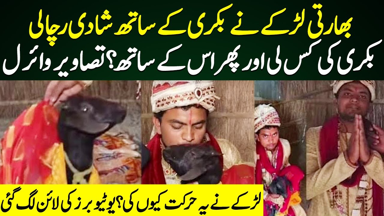 Indian Boy Married With Goat | Dastak Tv - YouTube